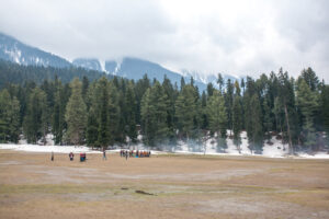 When to Use the Extreme Long Shot - George Davison Studios